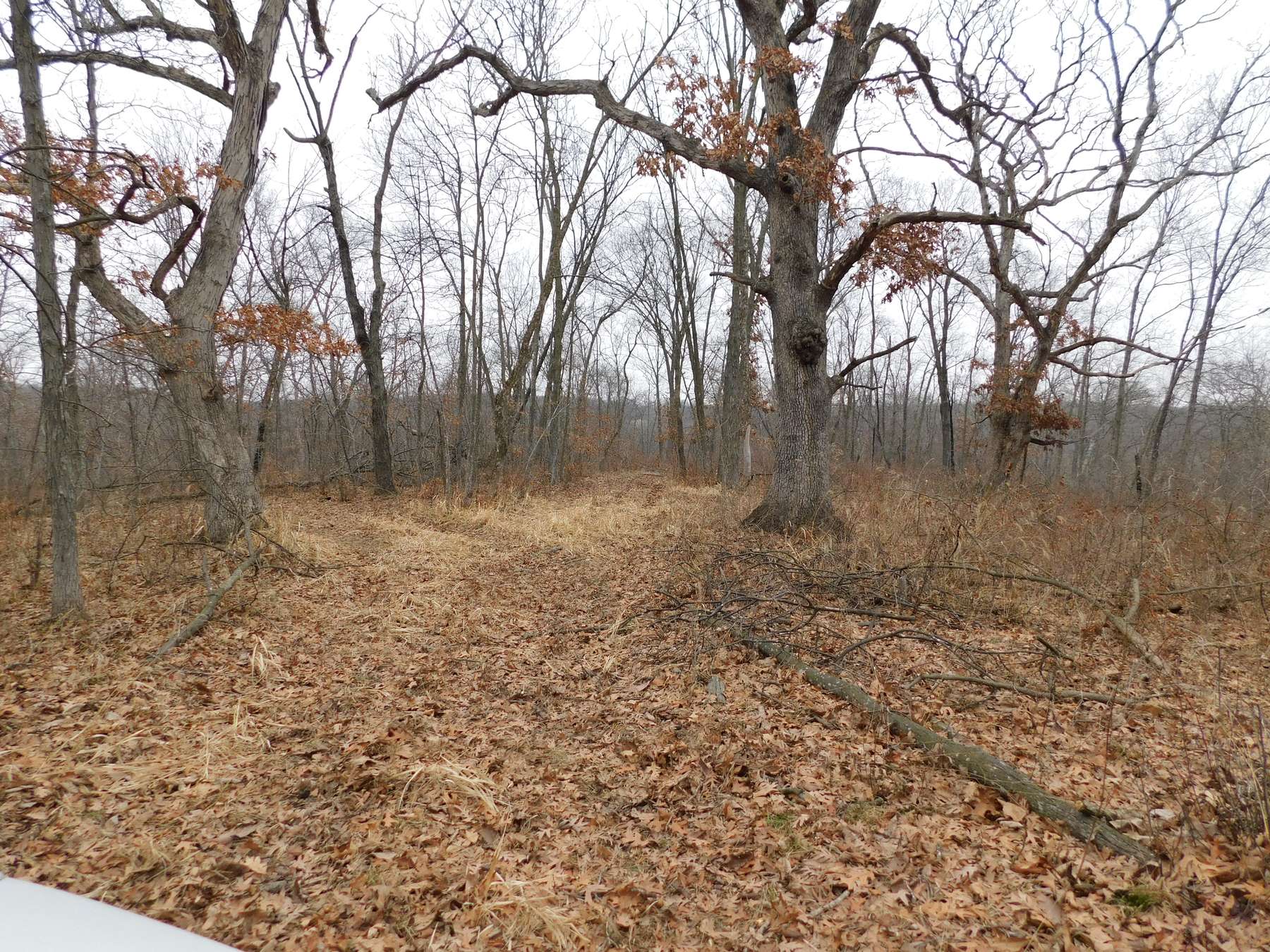 000 MORELOCK CEMETERY RD., GREEN CASTLE | ADAIR COUNTY MO 208 - AVAILABLE