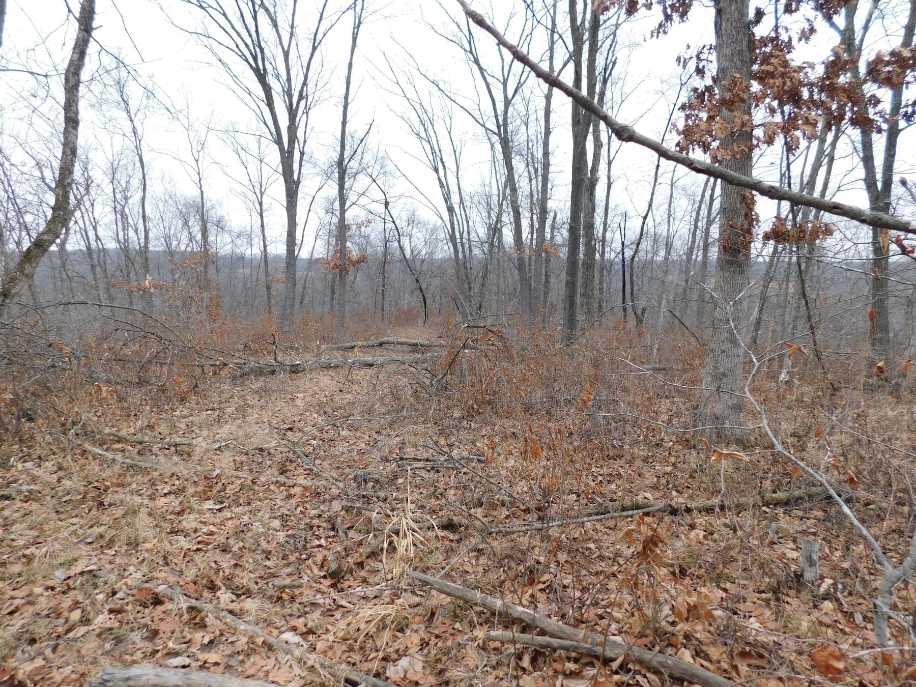 000 MORELOCK CEMETERY RD., GREEN CASTLE | ADAIR COUNTY MO 208 - AVAILABLE