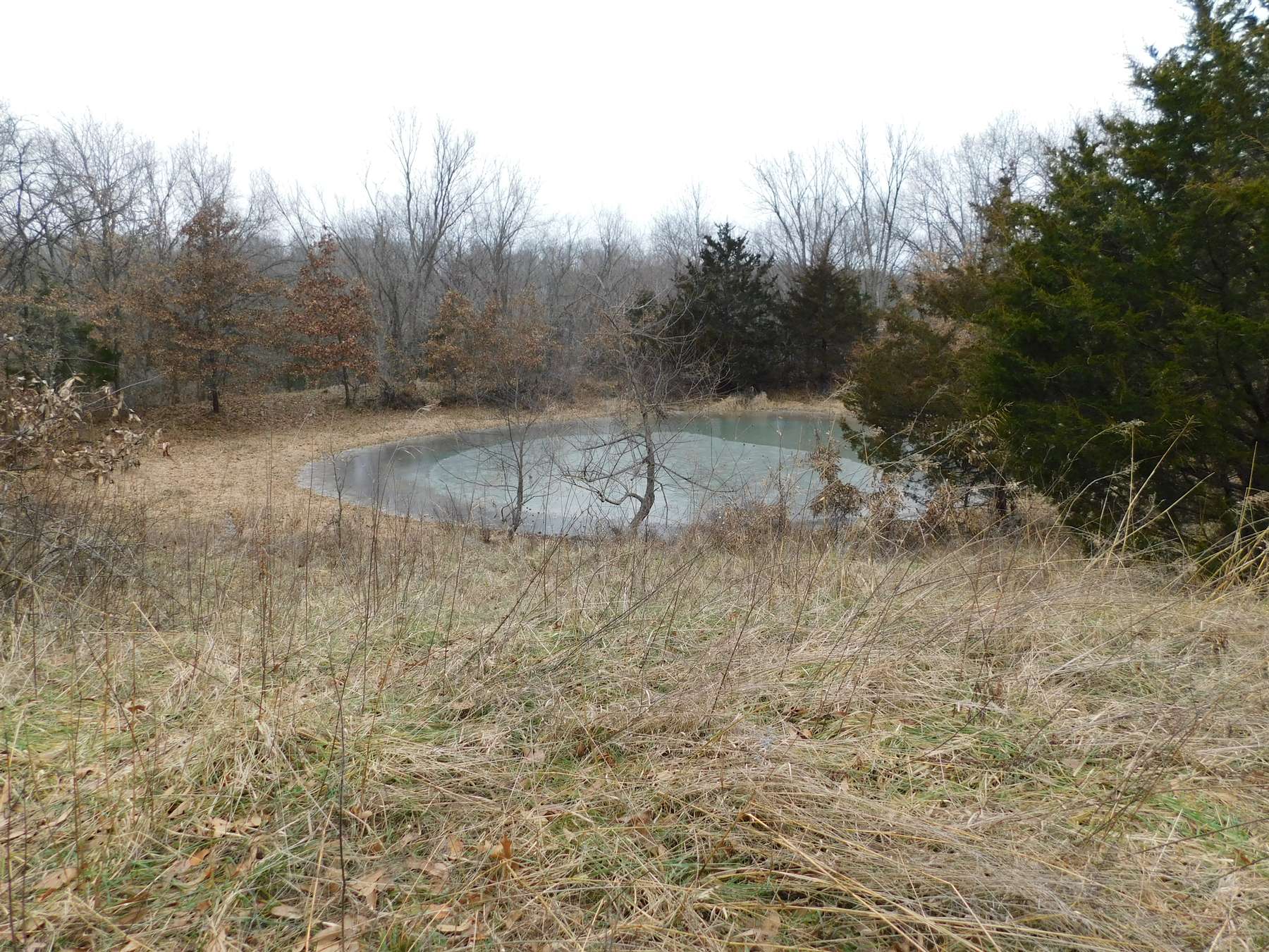 000 MORELOCK CEMETERY RD., GREEN CASTLE | ADAIR COUNTY MO 208 - AVAILABLE