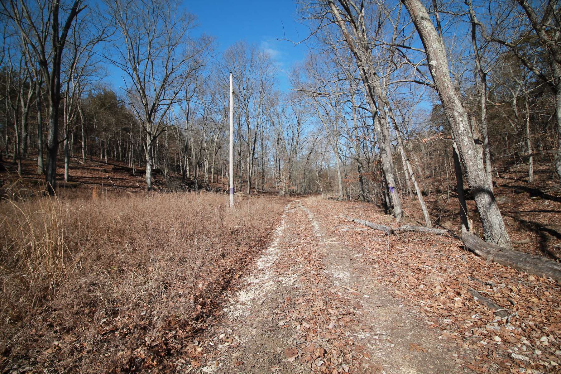 000 CROSSROADS RD, BARNHART | JEFFERSON COUNTY MO 176 - SOLD